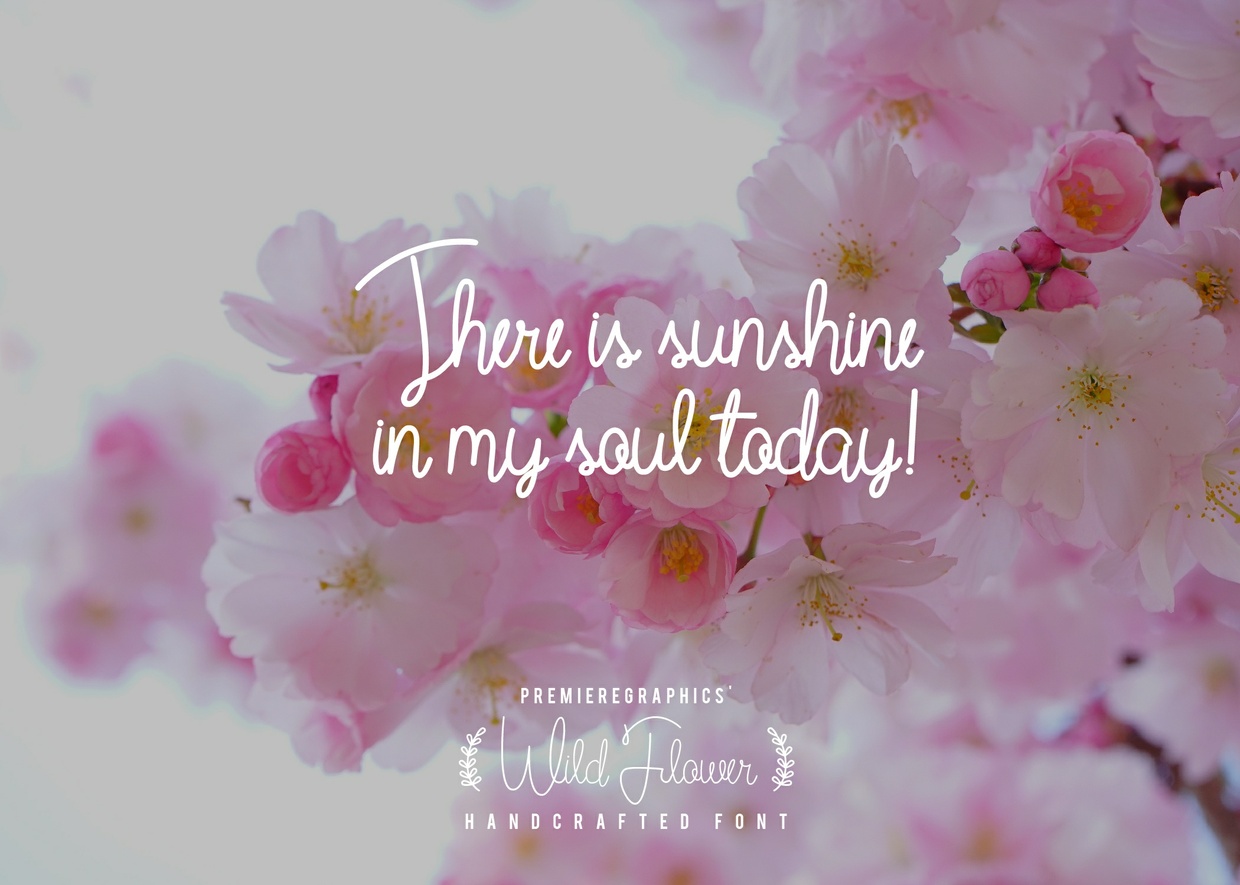 Wild Flower Script Font - Engine Templates